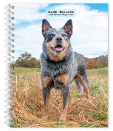 Blue Heelers | 2026 6 x 7.75 Inch Spiral-Bound Wire-O Weekly Engagement ...