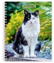 Cat Lovers | 2026 6 x 7.75 Inch Spiral-Bound Wire-O Weekly Engagement ...