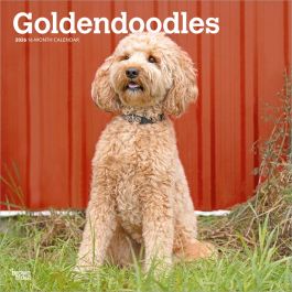 Goldendoodles | 2026 12 x 24 Inch (Hanging) Monthly Square Wall ...