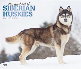 For the Love of Siberian Huskies | 2026 14 x 24 Inch (Hanging) Monthly ...