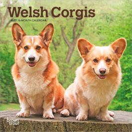 Welsh Corgis | 2027 7 x 14 Inch (Hanging) Monthly Mini Wall Calendar